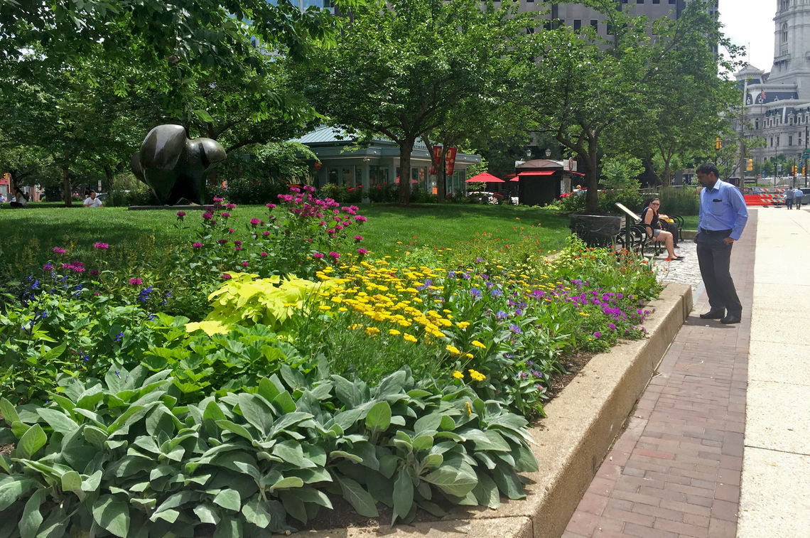 CCD Parks | Cret Park